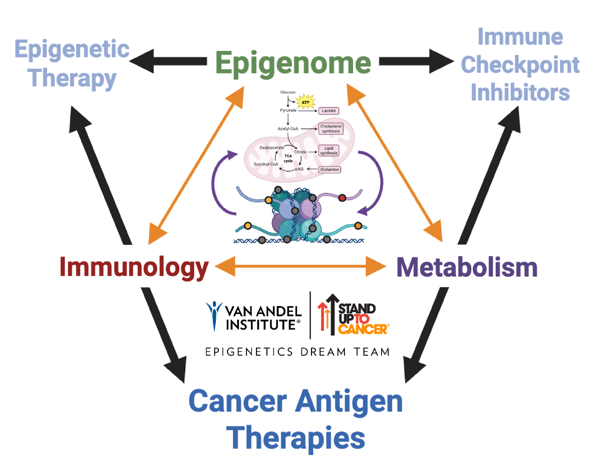 Jang Laboratory - Josh Jang's Laboratory